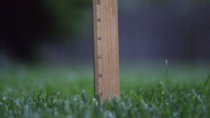 Mowing Height - Omaha Organics Lawn and Turf Maintenance